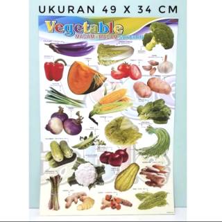 Jual Poster Belajar Aneka Macam Sayuran / Poster Sayur | Shopee Indonesia