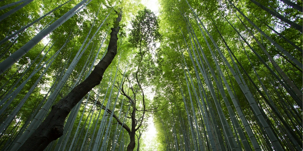 Toko Online Jenuin | Shopee Indonesia