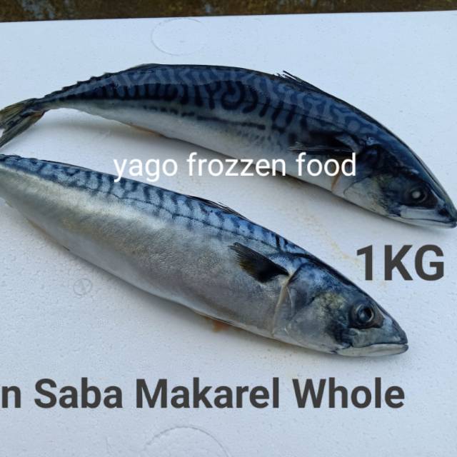 Jual Ikan Saba Mackarel 1kg \ Saba Makarel Fresh Indonesia|Shopee Indonesia