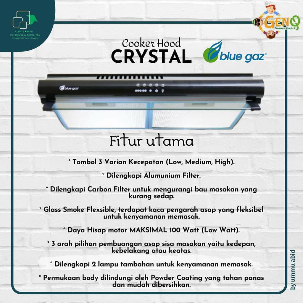 Jual COOKER HOOD - alat penghisap asap , Uap , bau BY BLUE GAZ | Shopee ...