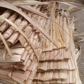 Jual Atap daun rumbia atap dahon atap gazebo natural 10 pcs | Shopee ...