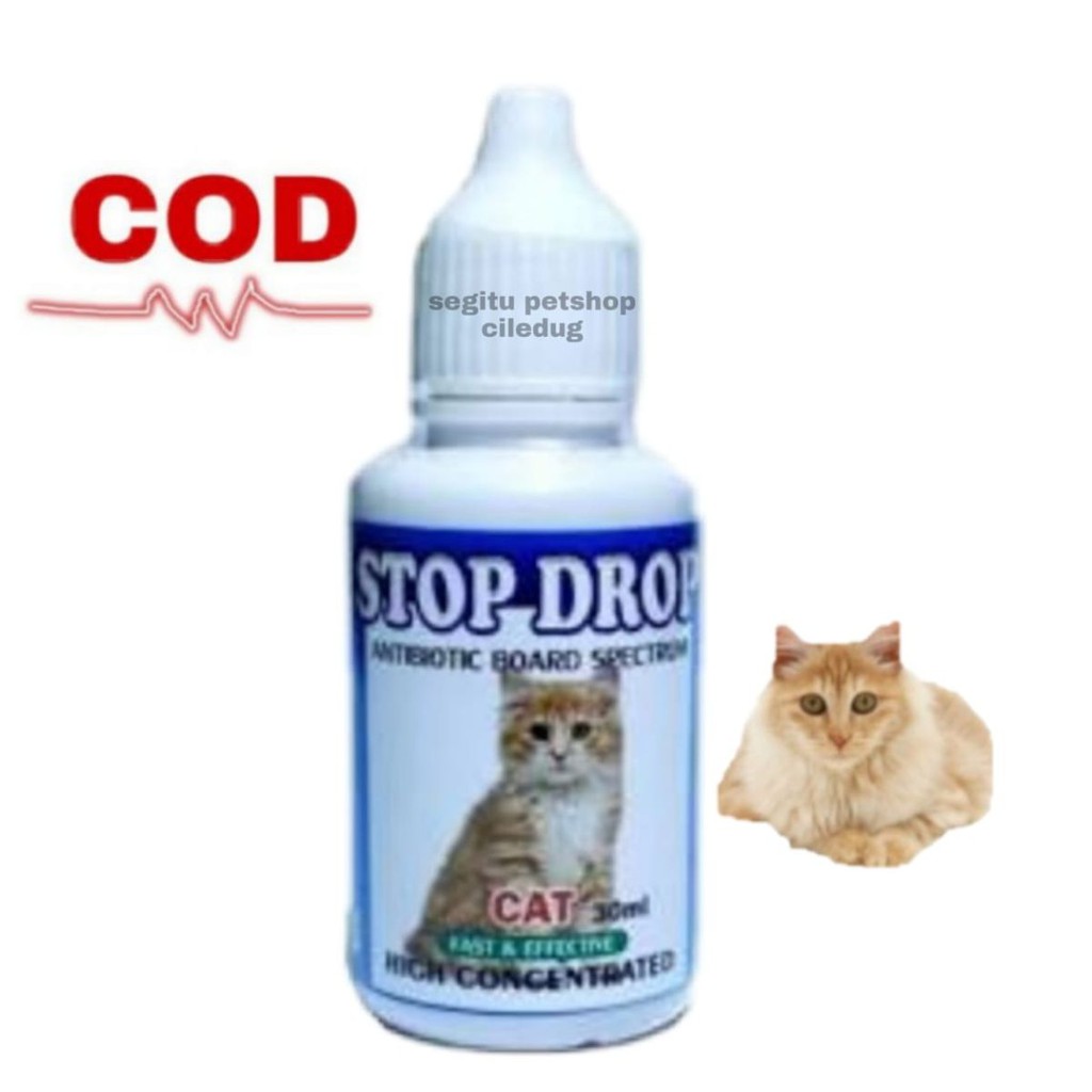 Jual Obat Kucing Antibiotik Obat Demam Flu Batuk Diare Infeksi ...