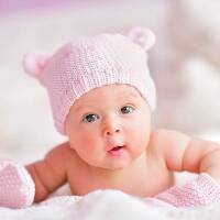 Jual Trombufit 6 Sachet | Shopee Indonesia