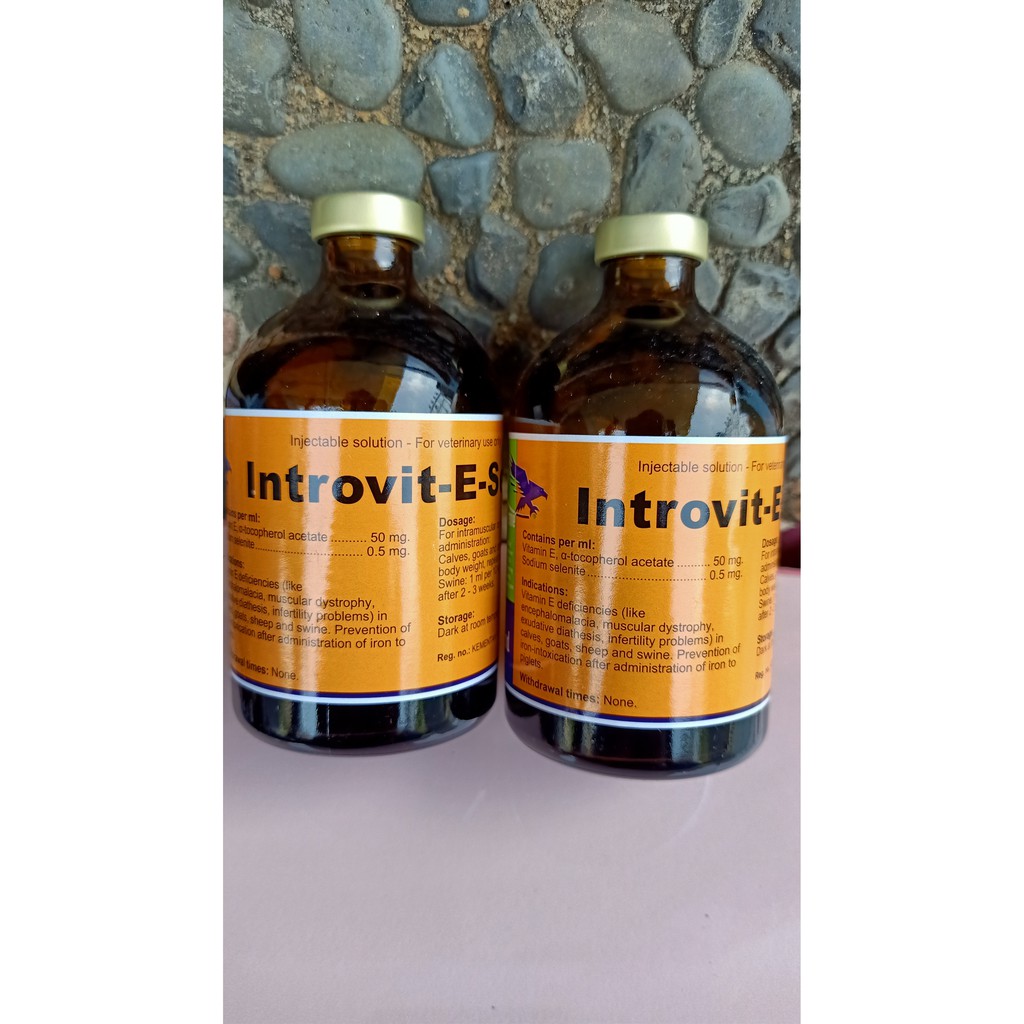 Harga introvit Terbaru Mar 2026 | BigGo Indonesia