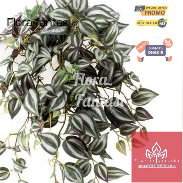 Jual tanaman gewor gantung ungu [tradescantia] (Tanaman hias hidup ...