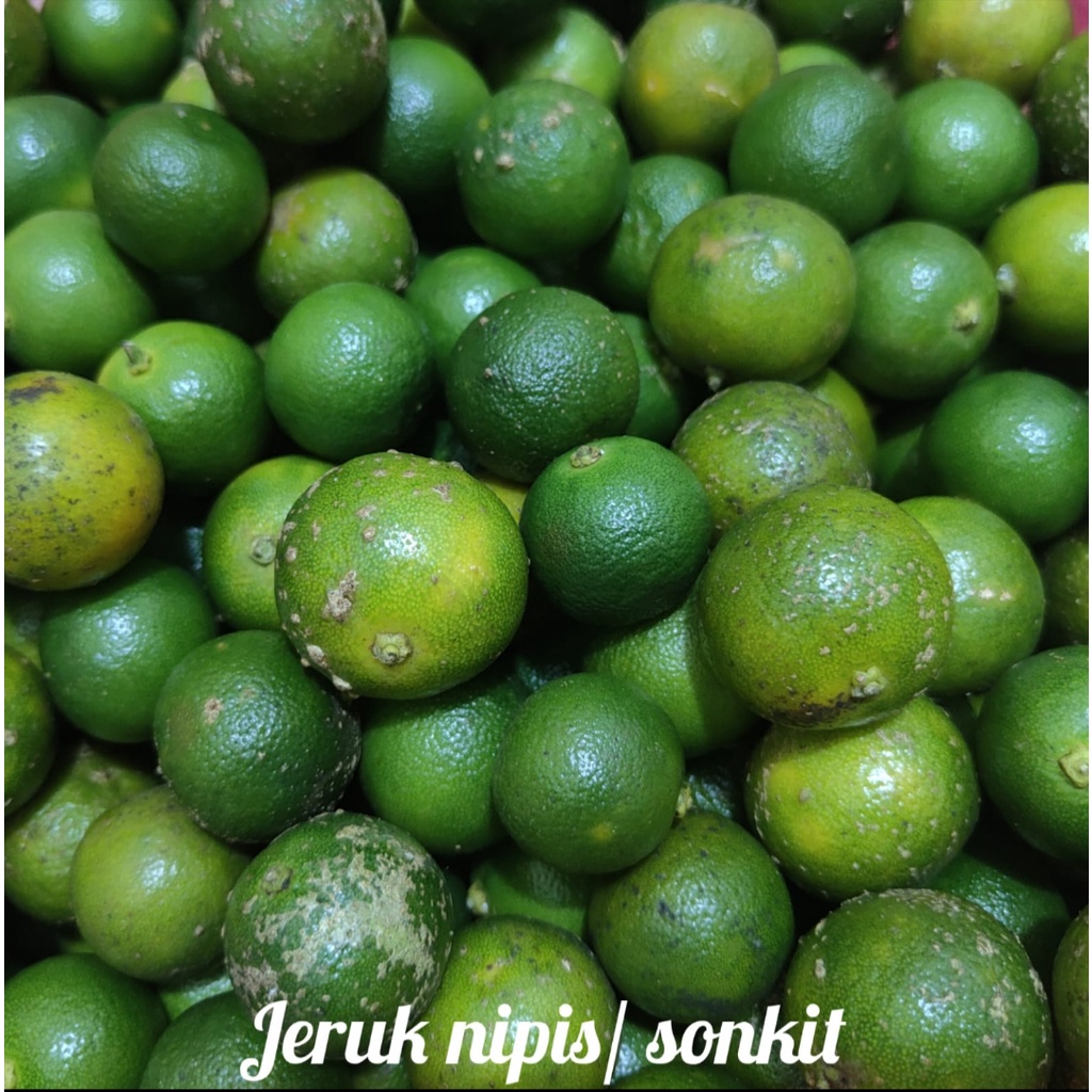 Jual (BISA COD) JERUK NIPIS 1kg/JERUK SONKIT/JERUK PERAS/JERUK KASTURI ...
