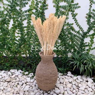 Jual Bunga cantel kering natural | Shopee Indonesia