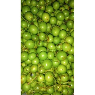 Jual Ramania / Gandaria 500gr | Shopee Indonesia