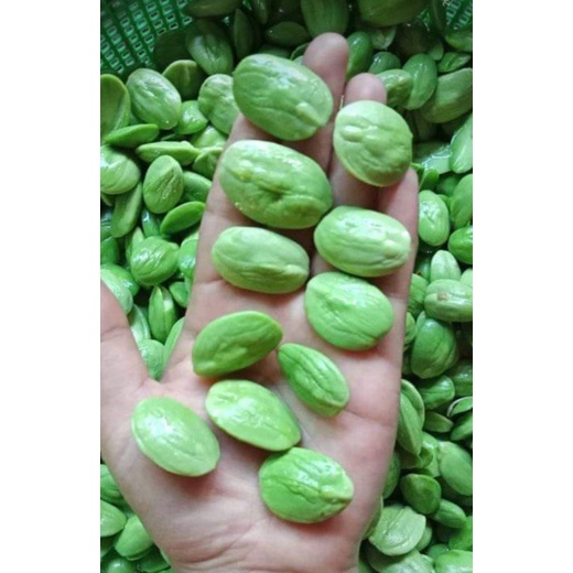 Jual Pete/Petai Kupas Biji Besar/Unggul 1kg | Shopee Indonesia