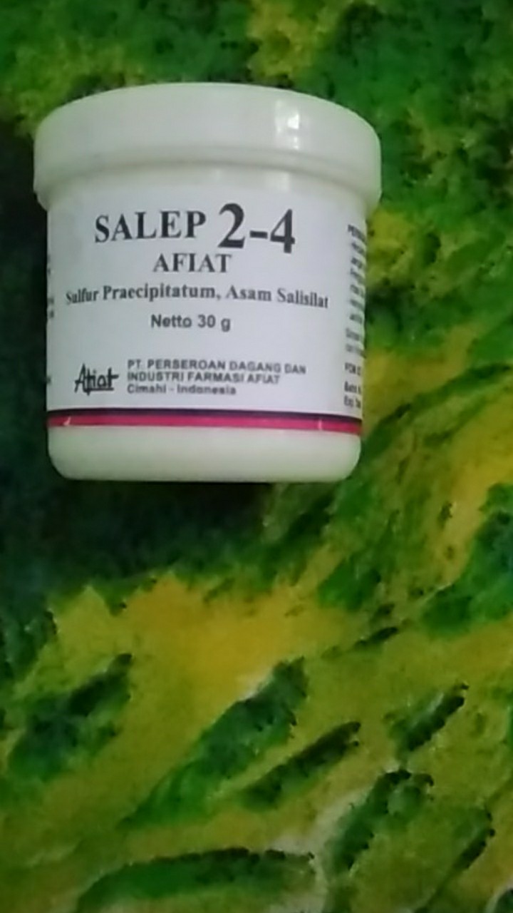 SALEP 24 SALEP KUDIS , KURAP , BISUL , GATAL 30 gr | Shopee Indonesia