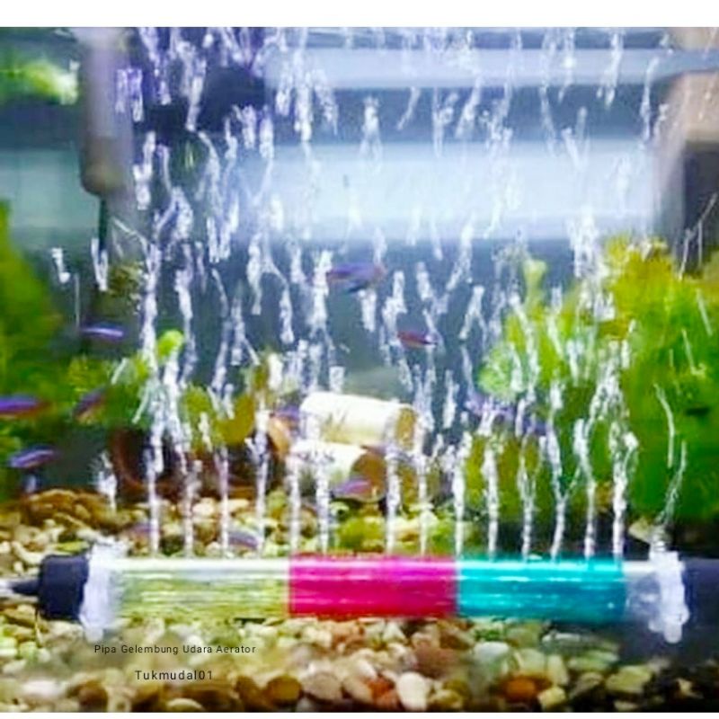 Jual Pipa Gelembung Udara 30 cm Aerator Pipa suling Aerator batu angin ...
