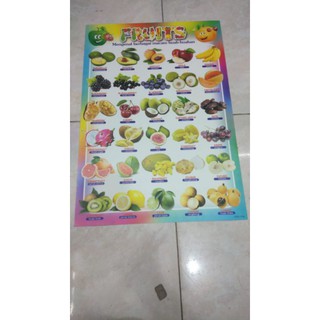 Jual Poster BUAH & Menu Sehat | Shopee Indonesia