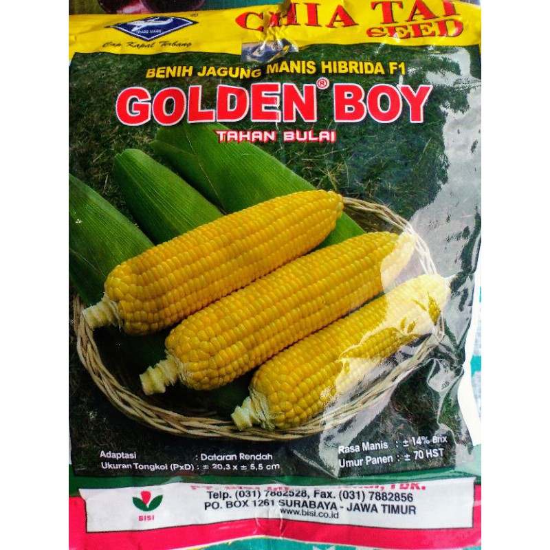 Jual Benih jagung manis F1 Golden Boy tahan bulai | Shopee Indonesia