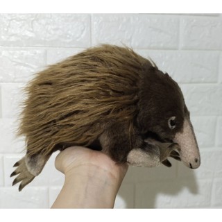 Jual Boneka Hewan Echidna (binatang pemakan semut) | Shopee Indonesia