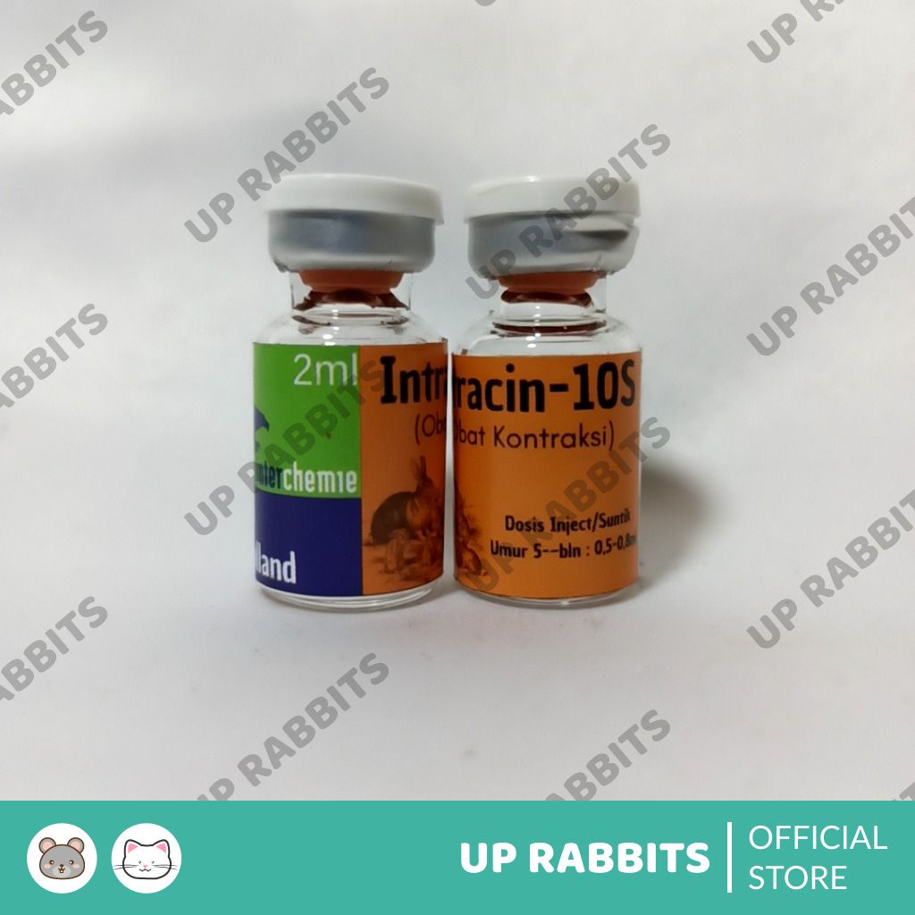 Jual INTRACIN 10S 5ml Hormon Kontraksi Uterus Kelenjar | Shopee Indonesia