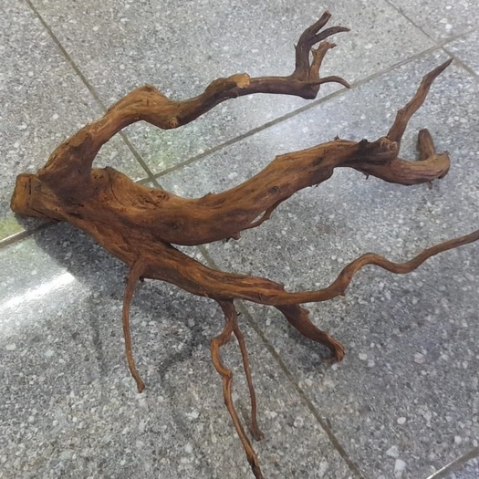 Jual akar rasamala ukuran XL kayu rasamala aquascape | Shopee Indonesia