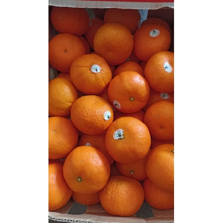 Jual Buah Jeruk Honey Mandarin Murcot Import /kg | Shopee Indonesia