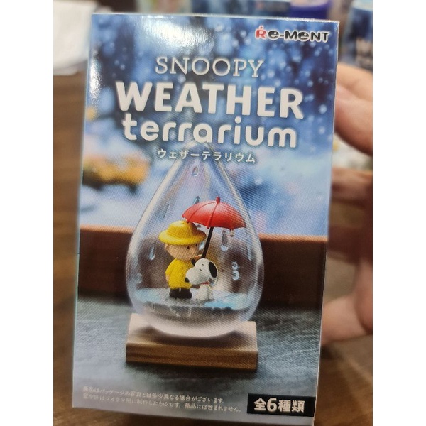 Jual Snoopy Weather Terrarium - Windy Day | Shopee Indonesia