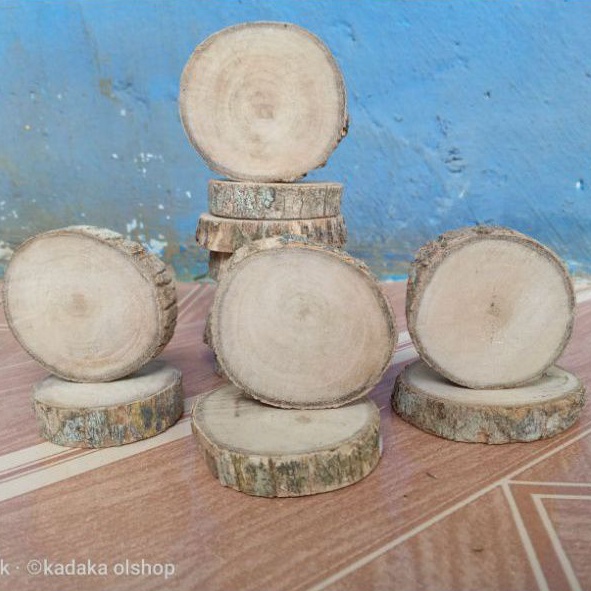 Jual wooden slice potongan kayu (wooden dekorasi) kayu hutan langka ...