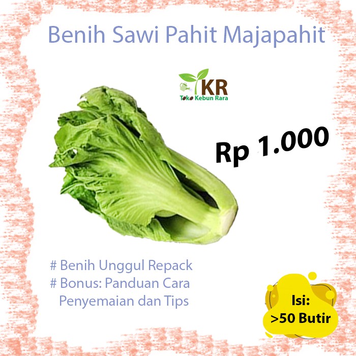Jual Benih Bibit Unggul Sawi Pahit Majapahit Repack | Shopee Indonesia Jual Benih Bibit Unggul Sawi Pahit Majapahit Repack | Shopee Indonesia