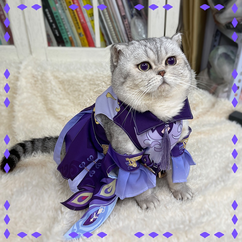 Jual Baju Kucing - Baju Meng - Baju Kucing Genshin Impact Cosplay ...