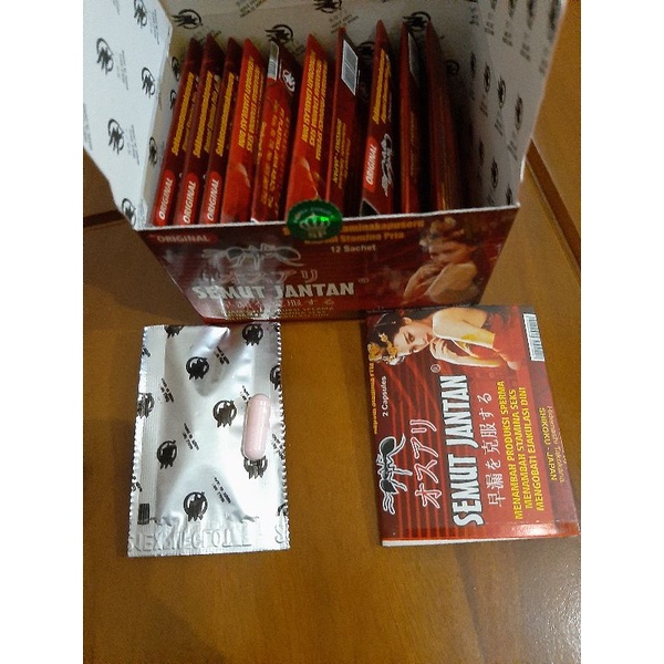 Jual semut jantan | Shopee Indonesia