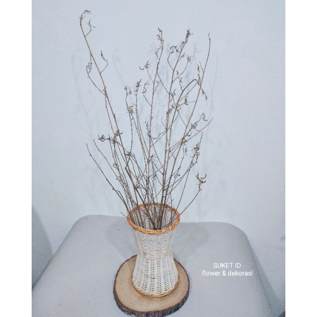Jual Dekorasi Rustic (Ranting Kering) | Shopee Indonesia