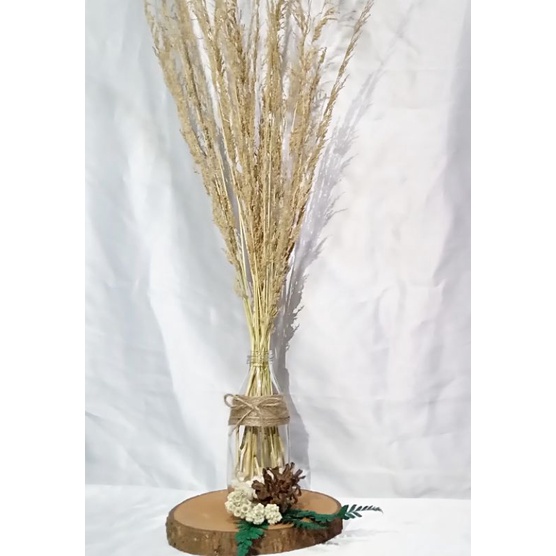 Jual vas bunga kaca tali rami bunga kering ilalang | Shopee Indonesia