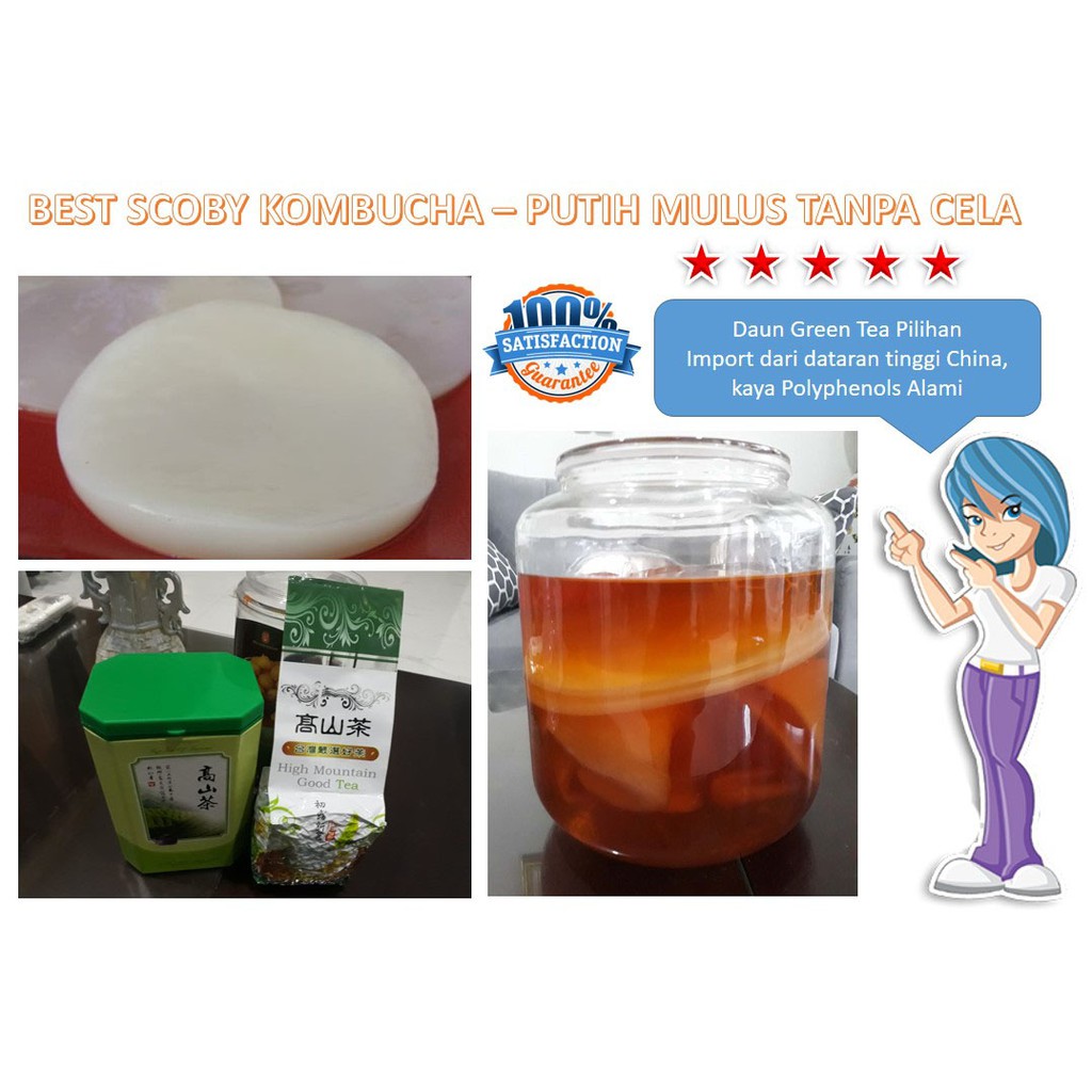 Jual Jual Scoby Kombucha Super|Kombucha Putih Bersih Termurah di Shopee ...