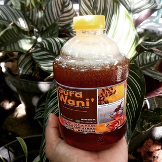 Jual Botol Plastik Mini Galon 500ml / Botol Mini Galon 500ml / Mini ...