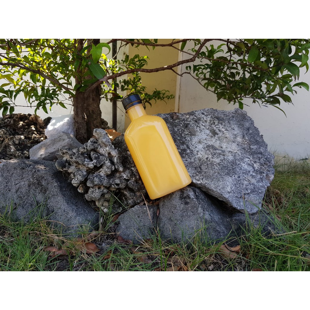 Jual Botol Whiz 250 ml / Botol Gepeng 250 ml Murah Surabaya 1 Pack isi ...