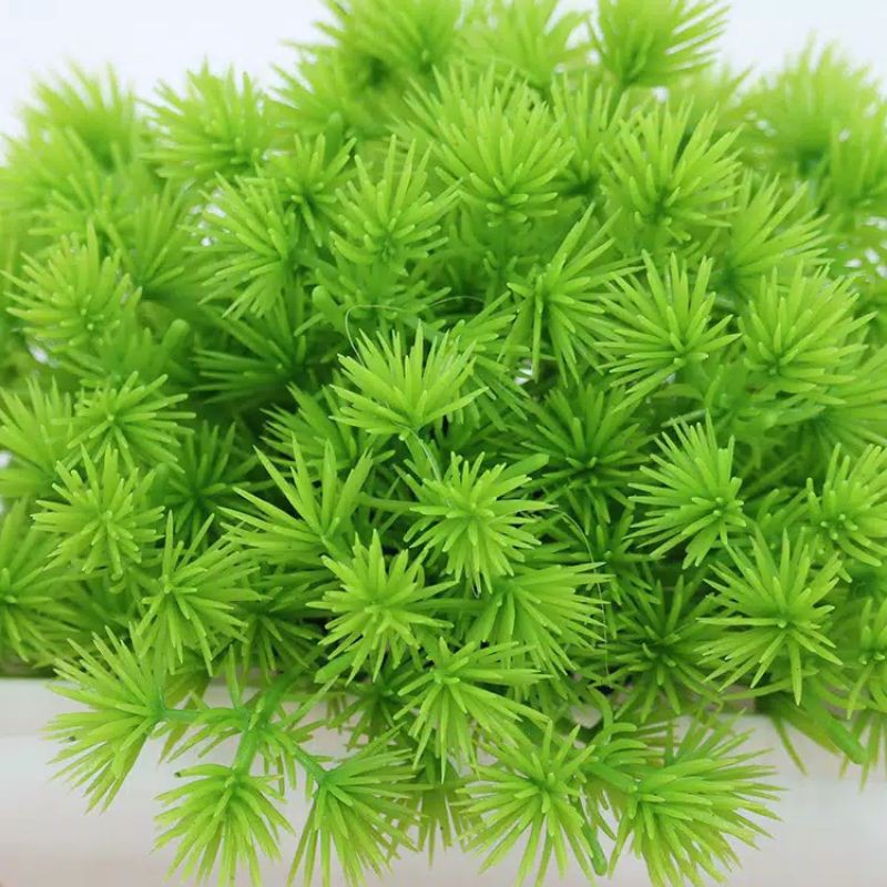 Jual Tanaman Bunga plastik Rumput berduri Dekorasi/Pajangan Rumah ...