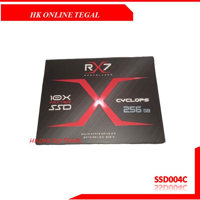 Jual SSD RX7 256GB Sata Thunder Bolt GARANSI RESMI | Shopee Indonesia