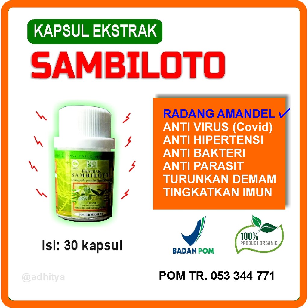 Jual Obat Amandel - Herbal Sambiloto Kapsul | Shopee Indonesia