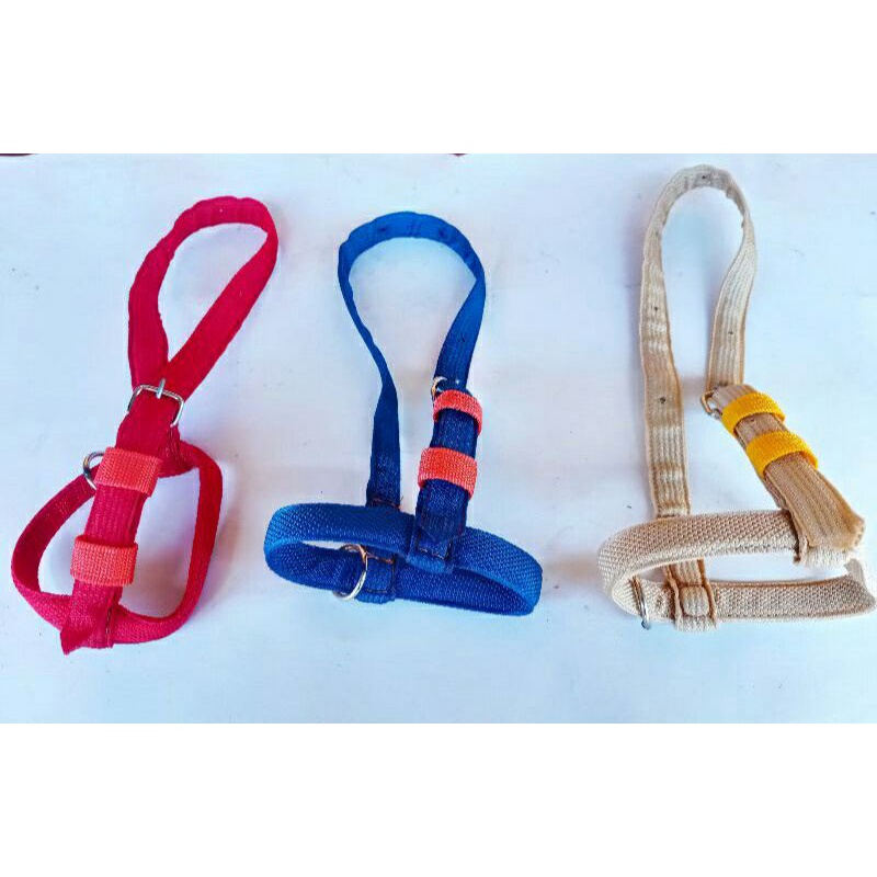 Jual HEAD HALTER IKAT KEPALA SAPI BRAGUS BACOK, KUDA, KERBAU ORIGINAL ...