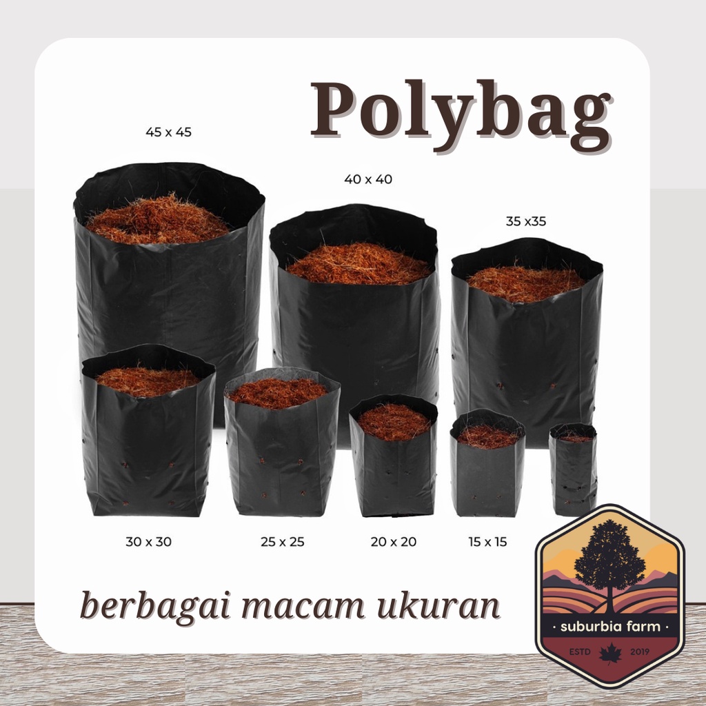 Jual Polybag 12x12 15x15 20x20 25x25 Plastik Polibag Berbagai Macam ...