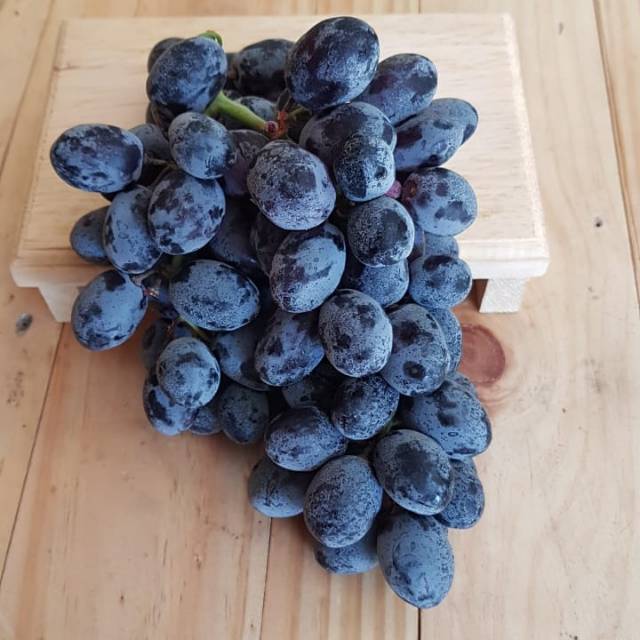 Jual buah anggur hitam segar tanpa biji fresh black grapes seedless ...