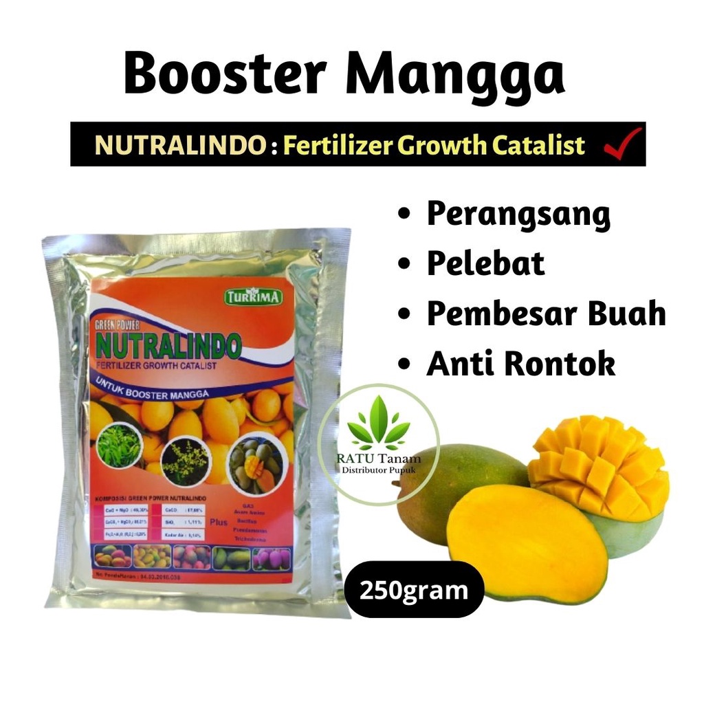 Jual Pupuk Booster Organik Mangga, Pupuk Mangga Supaya Berbuah Lebat, Pupuk Perangsang Buah ...