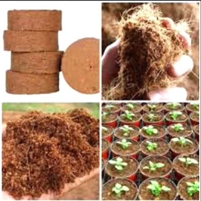 Jual MEDIA TANAM COCOPEAT / SERBUK KELAPA COCOPEAT MURAH 1 KG | Shopee ...