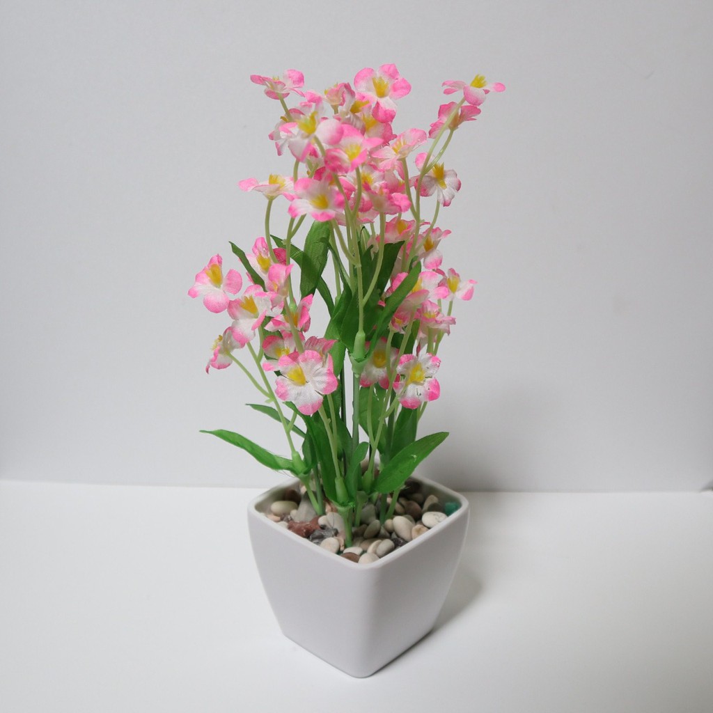 Wajib Tahu! 20+ Tanaman Bunga Untuk Pot Kecil yang Mantul! - Informasi ...