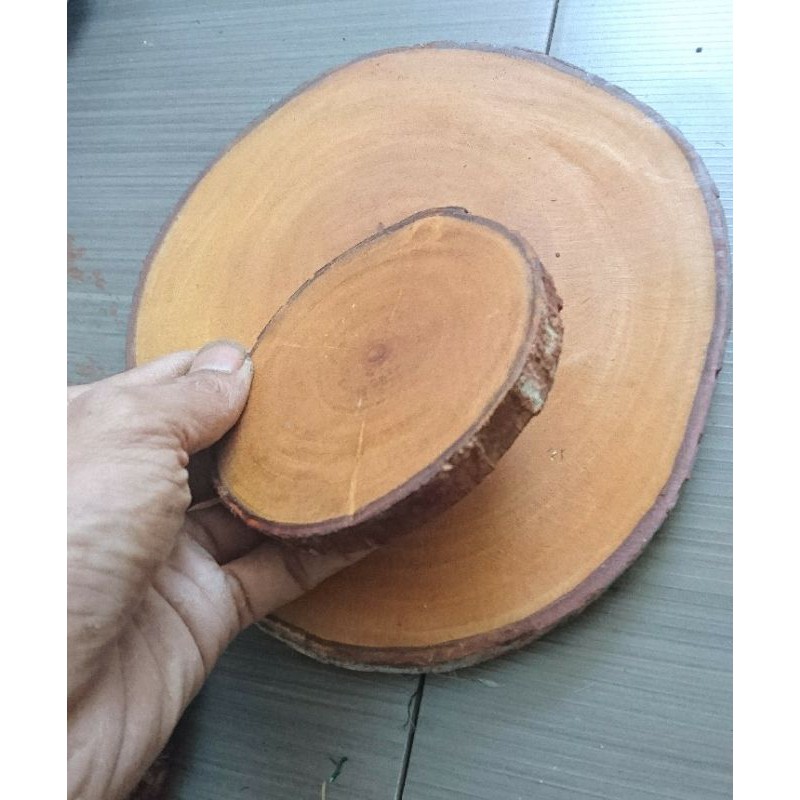 Jual Wood slice ukuran 9-10 cm potongan kayu #kayu #rustik #dekorasi ...