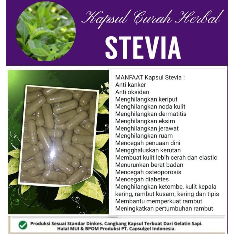 Jual Stevia 100 kapsul Curah Herbal Anti Kanker Anti Oksidan | Shopee Indonesia