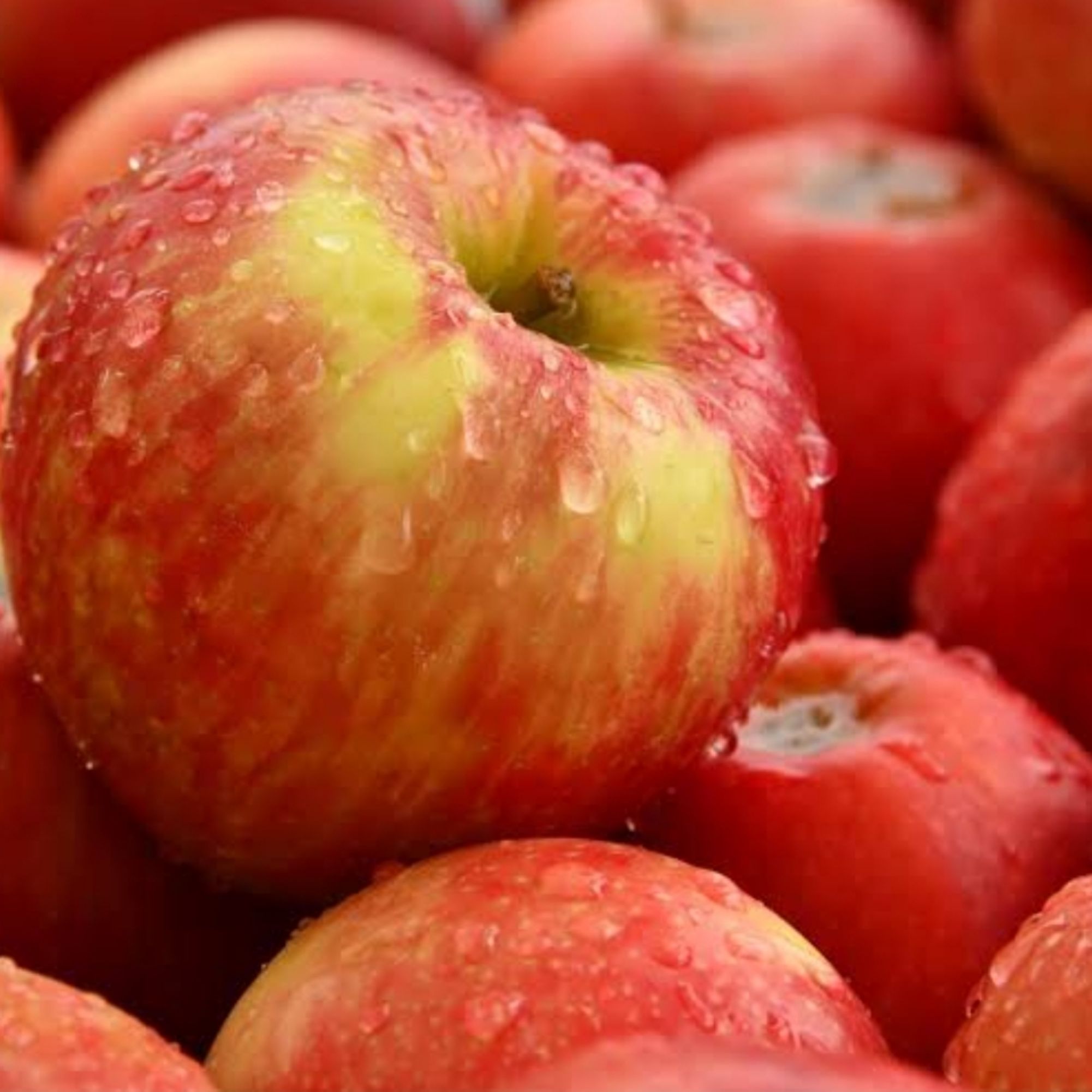 Produk Apple Mart | Shopee Indonesia