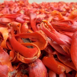 Jual Bunga Pala Kering 100 gram Sempra Puli Mace Whole Kembang Pala ...