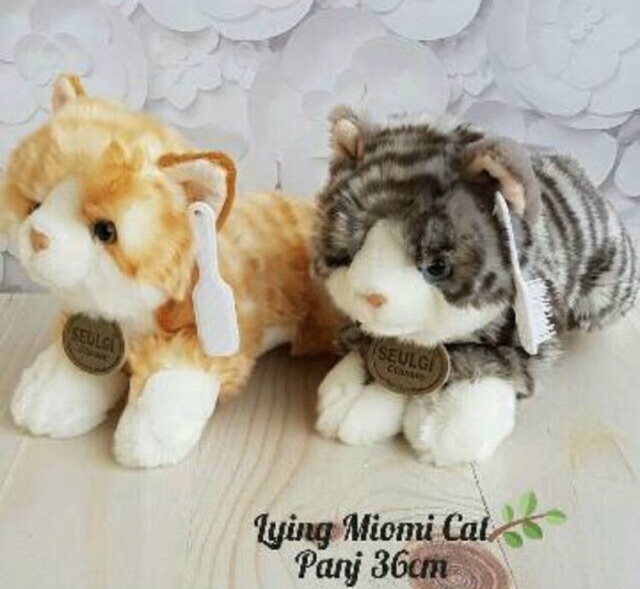 Jual Boneka kucing exclusive - FREE sisir kucing Indonesia|Shopee Indonesia