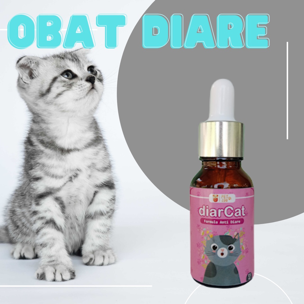 Jual KUCING MENCRET Obat Kucing Mencret Diarcat Diare Ampuh ...