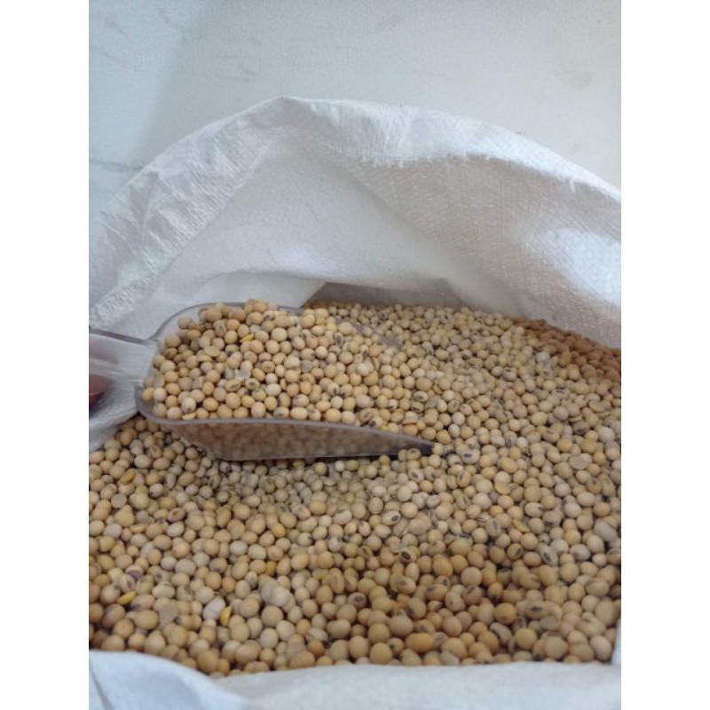 Jual Kacang Kedelai Repack 1Kg Cap Anggrek /Kacang Kedele Termurah ...