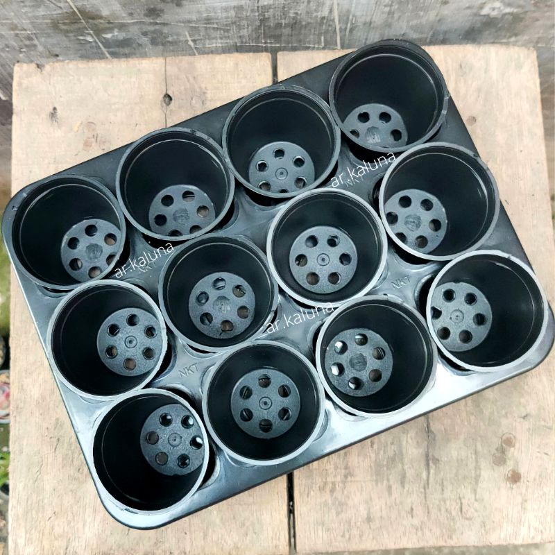Jual Tray Hitam 12 Lubang + Pot Hitam 5 cm mini kaktus / sukulen ...