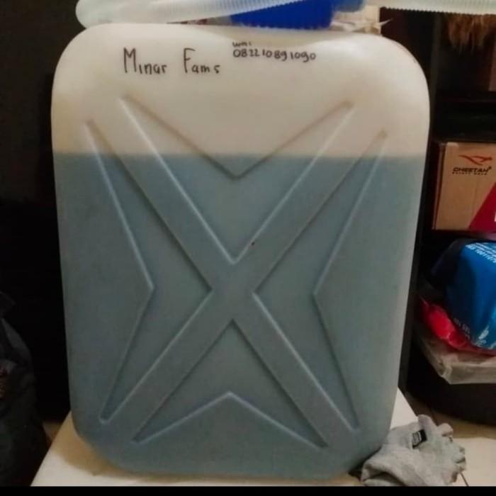 Harga Bensol Terbaru Juli 2022 |BigGo Indonesia