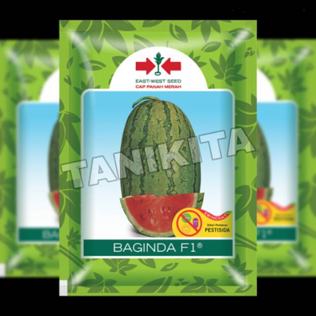 Jual BENIH BIBIT TANAMAN BUAH SEMANGKA BAGINDA F1 380 BUTIR | Shopee ...